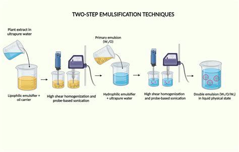 Biorender App
