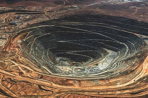 Allelopathy What Is Types And Examples Evidence Network