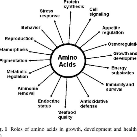 Nutritionally Essential And Nonessential Amino Acids For Fish And Other