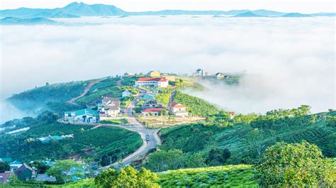 Lữ Hành Saigontourist đánh Giá Xu Hướng Du Lịch Hè 2023 Saigontourist