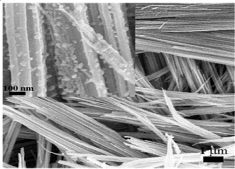 sem image of mo2c nanofiber [75] reproduced from kundu et al [75