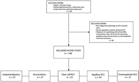 Patient Selection Flowchart For The Identification Of 148 Solid Renal