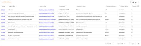 SchemaEvaluator Build An Interactive Report For Schema Evaluation