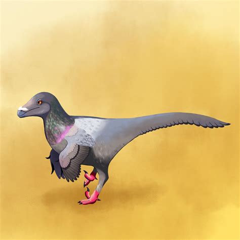 A Dinosaur A Day 1dinodaily 12 14 21 Sinovenator