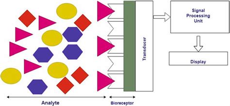 1 Schematic Diagram Of A Biosensor Where An Analyte Binds To A