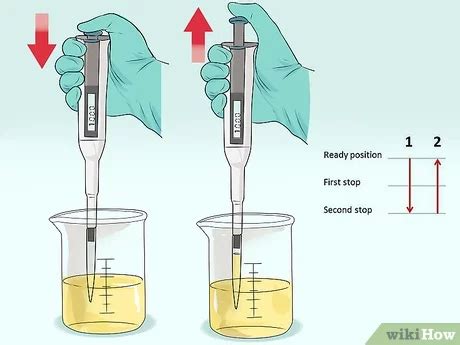 What Is A Micropipette How To Use A Micropipette 40 OFF