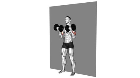 Dumbbell Strict Curl Ultimate Guide Tips