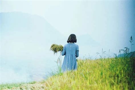 中年以后常点头多低头莫回头 阿波罗新闻网