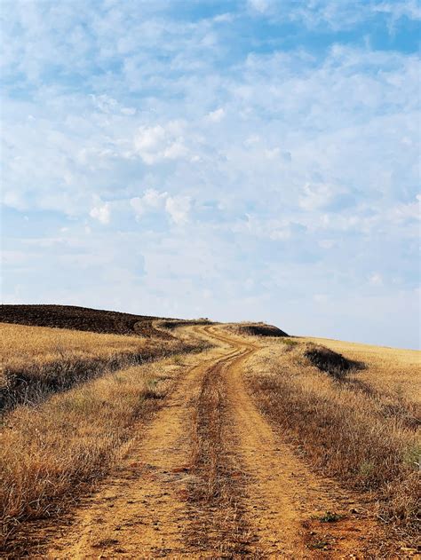 Grass Field Near Road Photo Free Camino Image On Unsplash