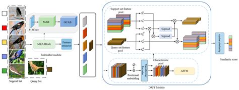 Electronics Free Full Text Fine Grained Few Shot Image Classification Based On Feature Dual