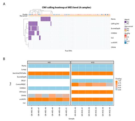Cancers Free Full Text A Comparison Of Tools For Copy Number Variation Detection In Germline