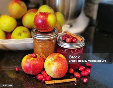 통장 애플 소스 크랜베리 젤리 사과 계피 는 크랜베리 가을과 가을을 보존 0명에 대한 스톡 사진 및 기타 이미지 0명 가을 건강한 생활방식 Istock