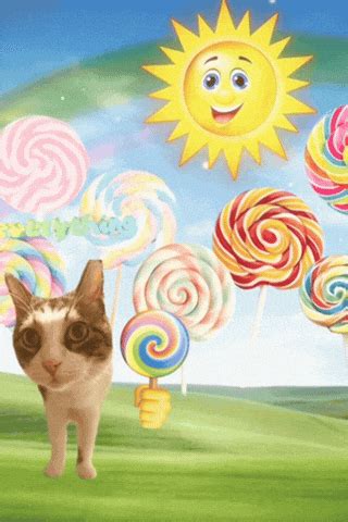 Lollipop Cat S Find And Share On Giphy