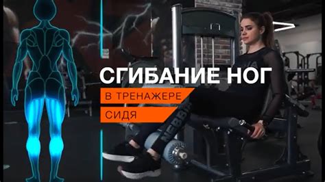 Сгибание ног в тренажере Youtube