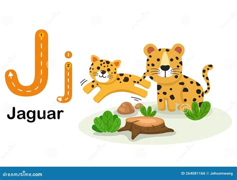 Alphabet Letter J Jaguar With Cartoon Vocabulary Illustration