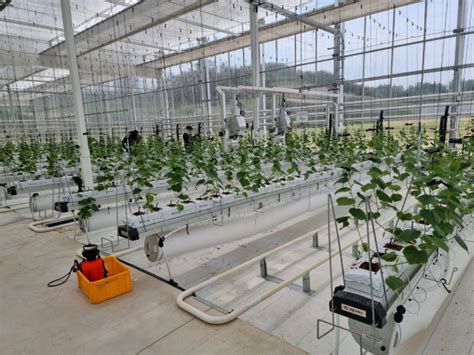 청년들은 외면하는 경북도 ‘스마트팜 청년 취업 지원 매일경제