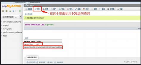 Web安全 AntSword中国蚁剑Webshell管理工具使用 云社区 华为云
