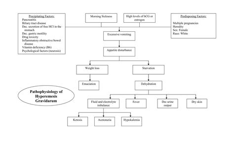 Preterm Labor Hyperemesis Gravidarum Pathophysiology Pdf