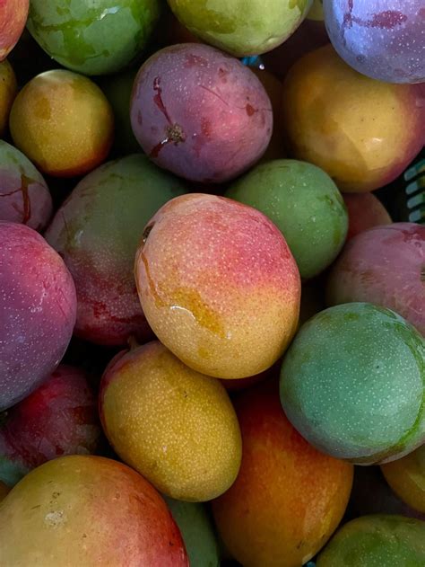 Comprar Mango Haden Online Costa Tropical Granada