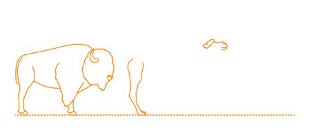 Even Toed Ungulates Artiodactyla Dimensions And Drawings