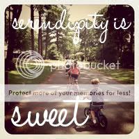Serendipity Is Sweet Quotes On Fall
