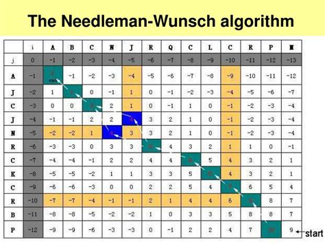 Ppt Sequence Alignment In Bioinformatics Powerpoint Presentation