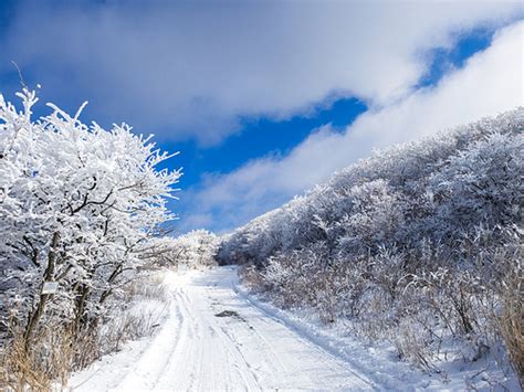 유토이미지 눈에 덮힌 산과 길 상고대 그리고 하늘 무등산 국립공원