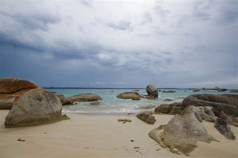 Nature At Its Best Three Hummock Island Tasmania Fork And Foot