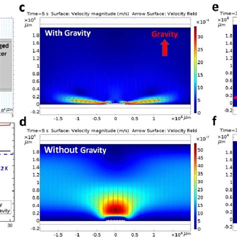 A The Model Used In The Thermofluidic Surface Bubble Nucleation Download Scientific Diagram