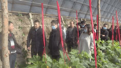 张箭带队到新民市就设施农业发展工作进行考察学习情况成功经验产业