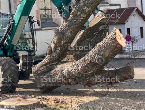 티롤 오스트리아 나무 강 옆에서 벌목 인 질러탈 아헨제와 카르벤델 산맥 전기톱 0명에 대한 스톡 사진 및 기타 이미지 0명