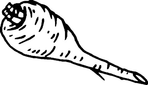 Parsnips Clipart Clipground