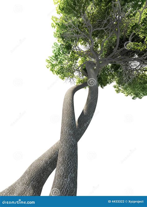 Modified Tree Stock Illustrations 526 Modified Tree Stock Illustrations Vectors And Clipart