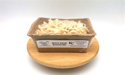 Buy Fresh Mushrooms Online Uk Merit Mushrooms