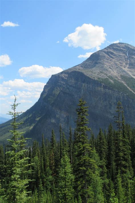 Low Cost Cremation Services Cremation London And Middlesex