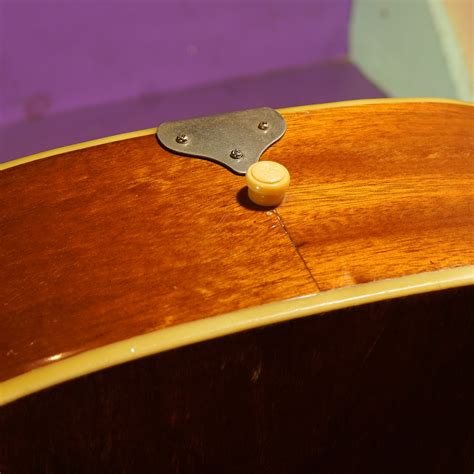 1960s Hoyer 12 String 10 String Bajo Quinto Ish Electrified Guitar Thing