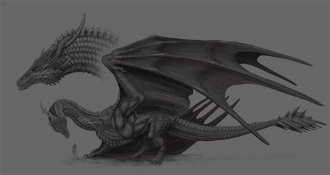 Grey Ghost Game Of Thrones Fanon Wiki Fandom