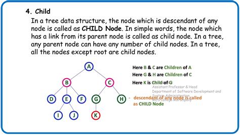Data Stuctures Treespptx Programming Languages Computing