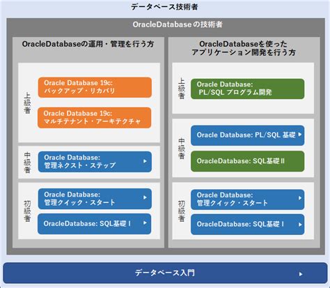 Db Oracle Master Nec