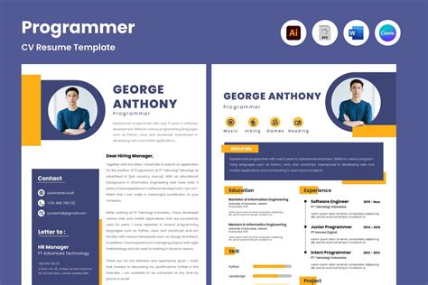 Resume Programmer V6 Design Cuts