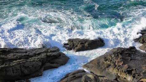 海洋 波浪 海 Free Video On Pixabay