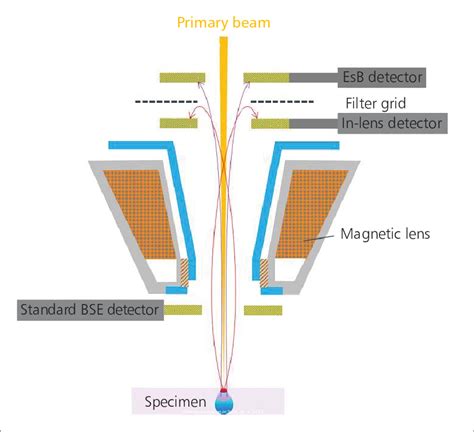 Principle Of Bse Signal Detection Download Scientific Diagram