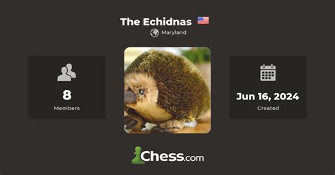 The Echidnas Chess Club