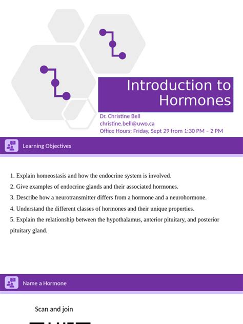 Lecture 1 Bell Introduction To Endrocrine 1 Pdf