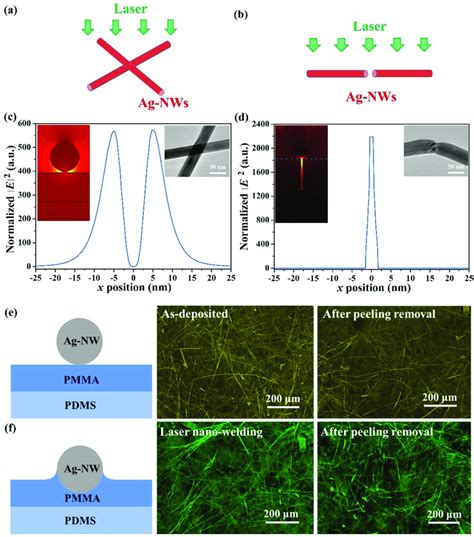 Numerical Simulation Of Laser Nano Welding Of Ag Nws And Validation Of