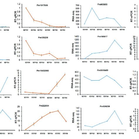 Validation Of RNA Seq Results Via RT QPCR Fold Changes For Selected