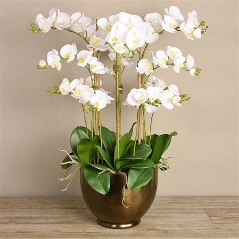 Big Tall Artificial White Orchids SILK Flowers In A Ceramic Etsy In