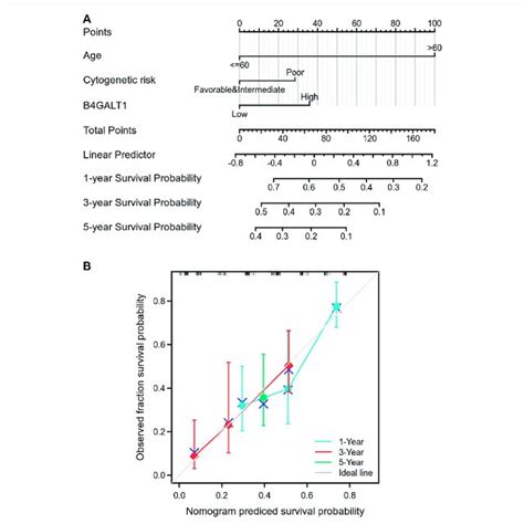 Functional Clustering Analysis Of B4galt1 Related Genes A Venn