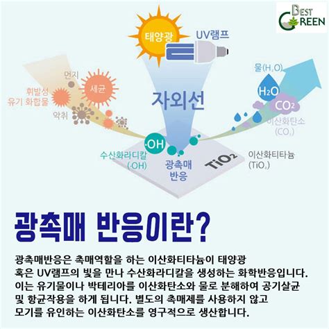 베스트그린 홈카페 홈로스팅 광촉매반응으로 모기를 해치운다⁉️🦟 2022년 출시 이래 꾸준히 사랑받아온