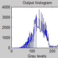 Histogram Representation Of Gamma Correction Pelvis Download Scientific Diagram